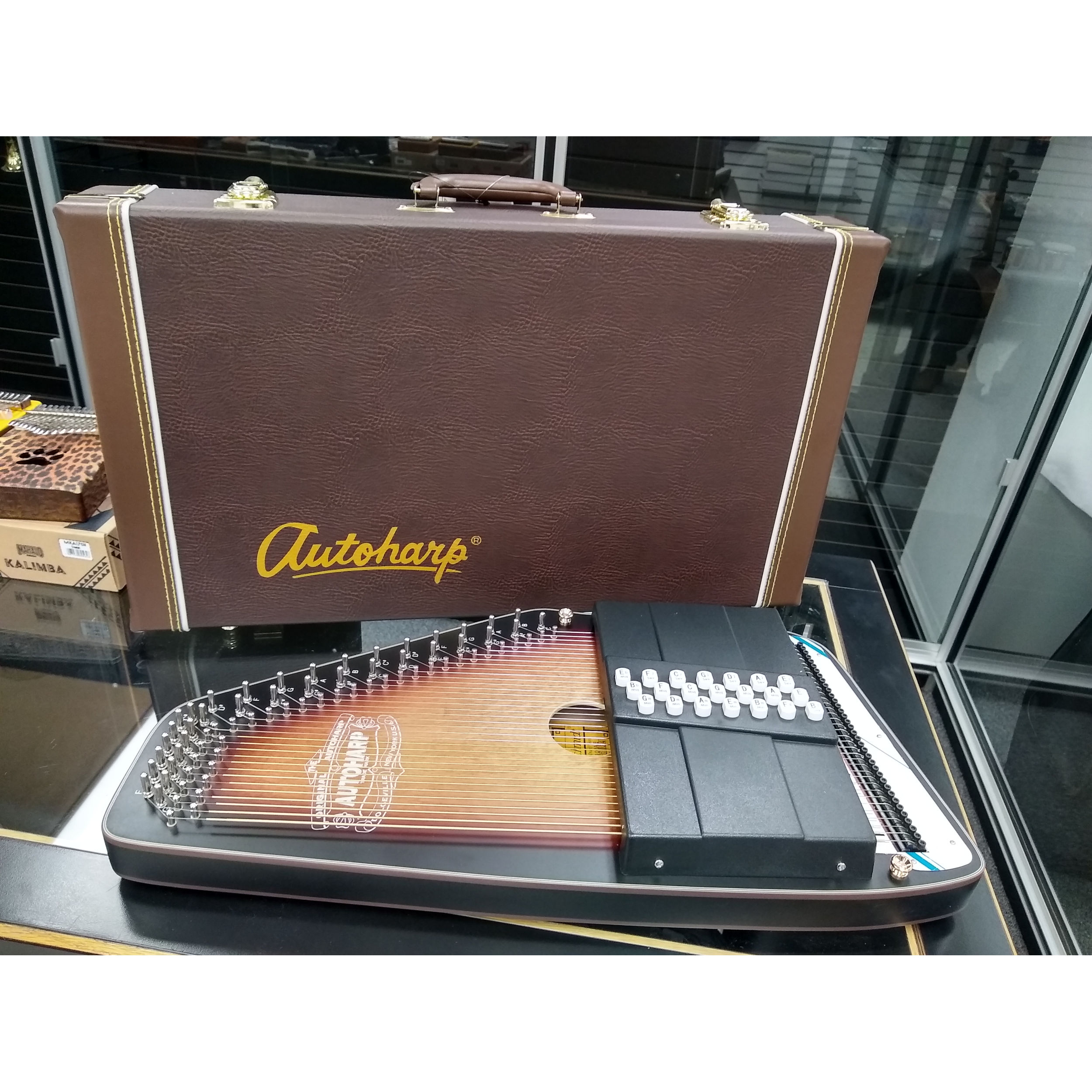 Oscar Schmidt OS11021AE Autoharp - Jim Laabs Music Store