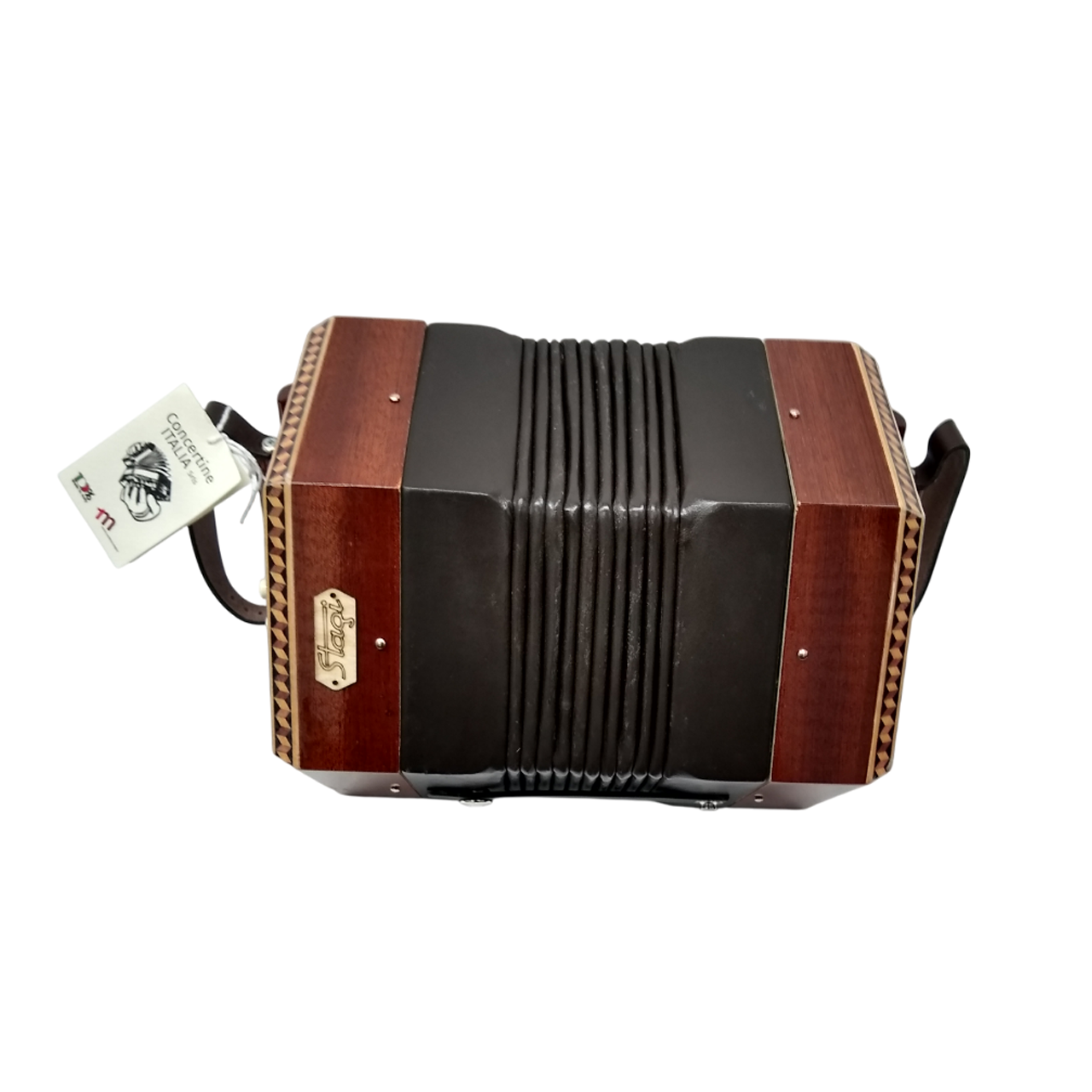 Stagi Hayden Duet Concertina - Jim Laabs Music Store