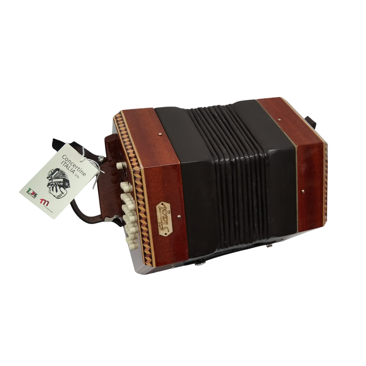 Stagi Hayden Duet Concertina - Jim Laabs Music Store