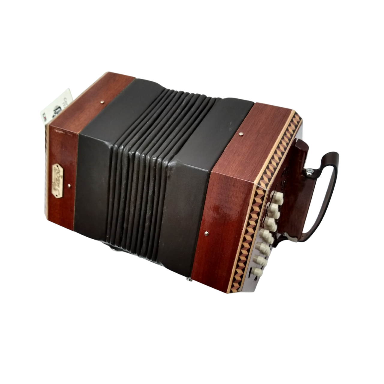 Stagi Hayden Duet Concertina - Jim Laabs Music Store