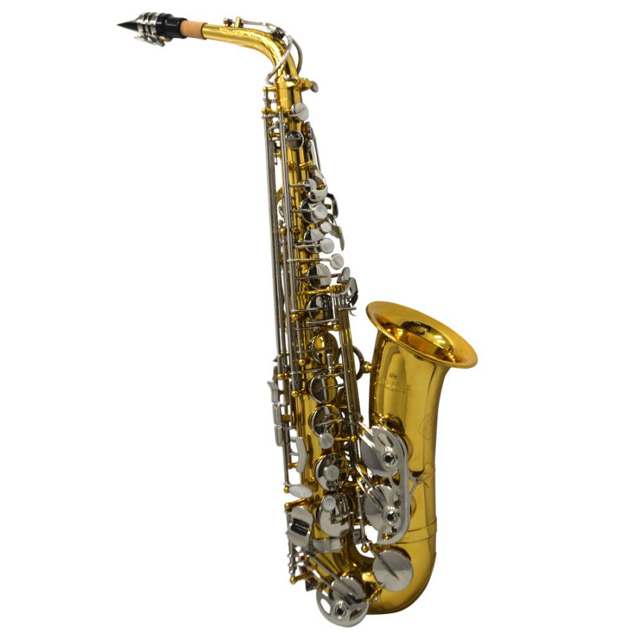 BAND INSTRUMENT SAXOPHONE RENTAL SPECIAL $18.80 MONTH/ 10 MONTHS - Jim ...