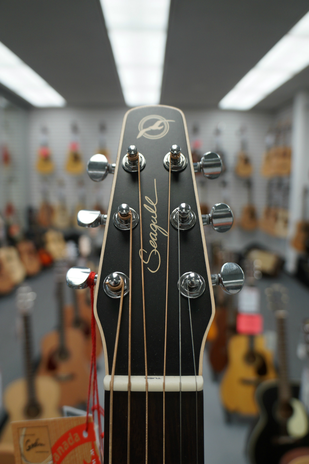 Seagull S6 Cedar Concert Hall QIT - Jim Laabs Music Store