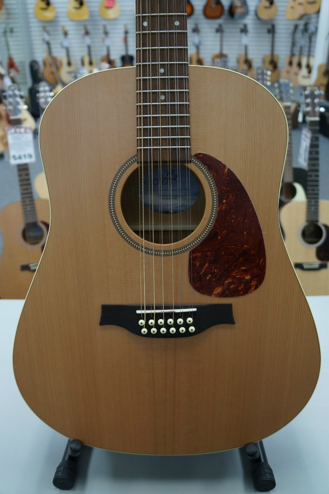Seagull Coastline S12 Cedar - Jim Laabs Music Store