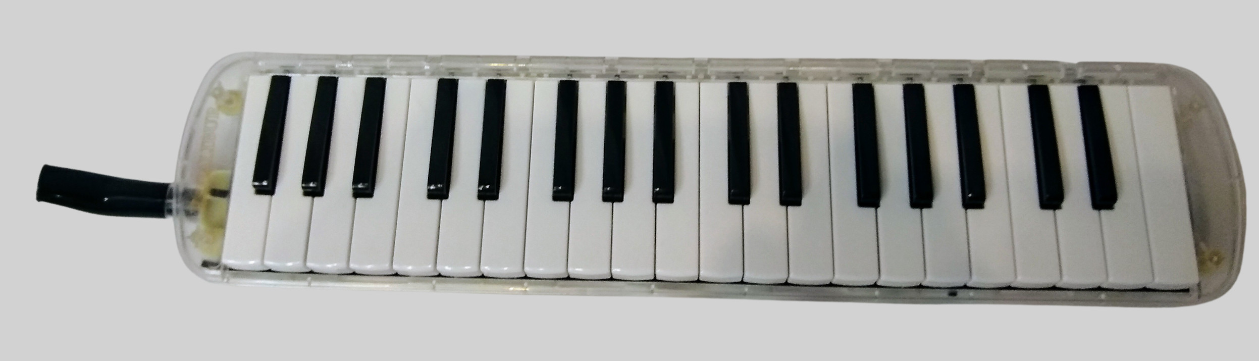 Excalibur 37 Note Transparent Pro Series Clear - Jim Laabs Music Store