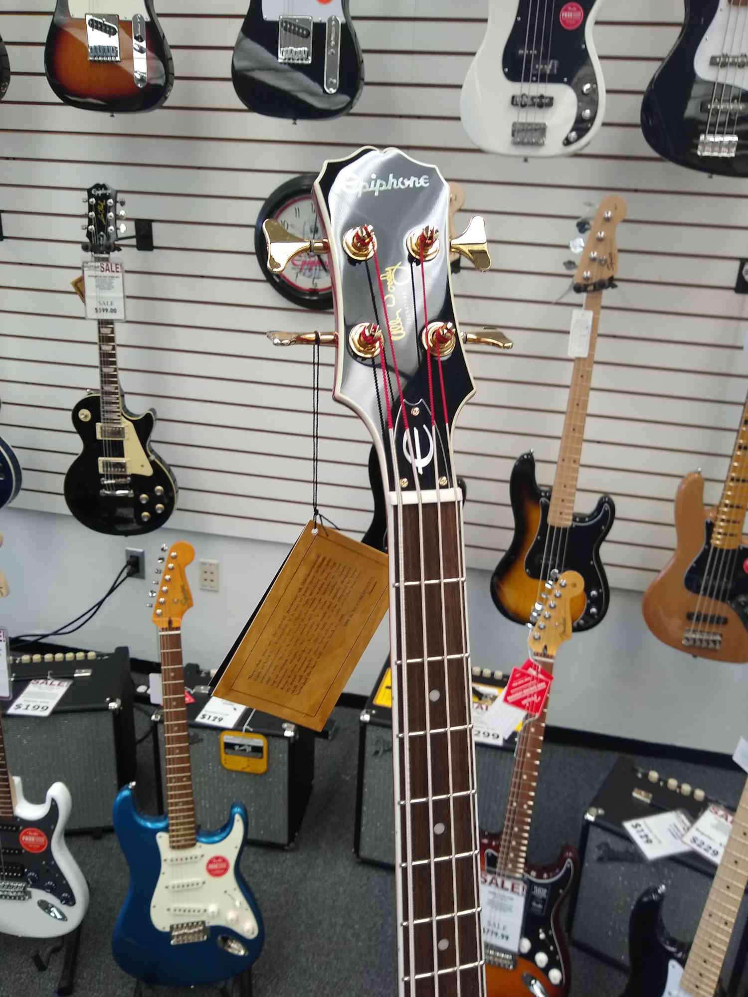 Epiphone Allen Woody Rumblekat Bass - Jim Laabs Music Store