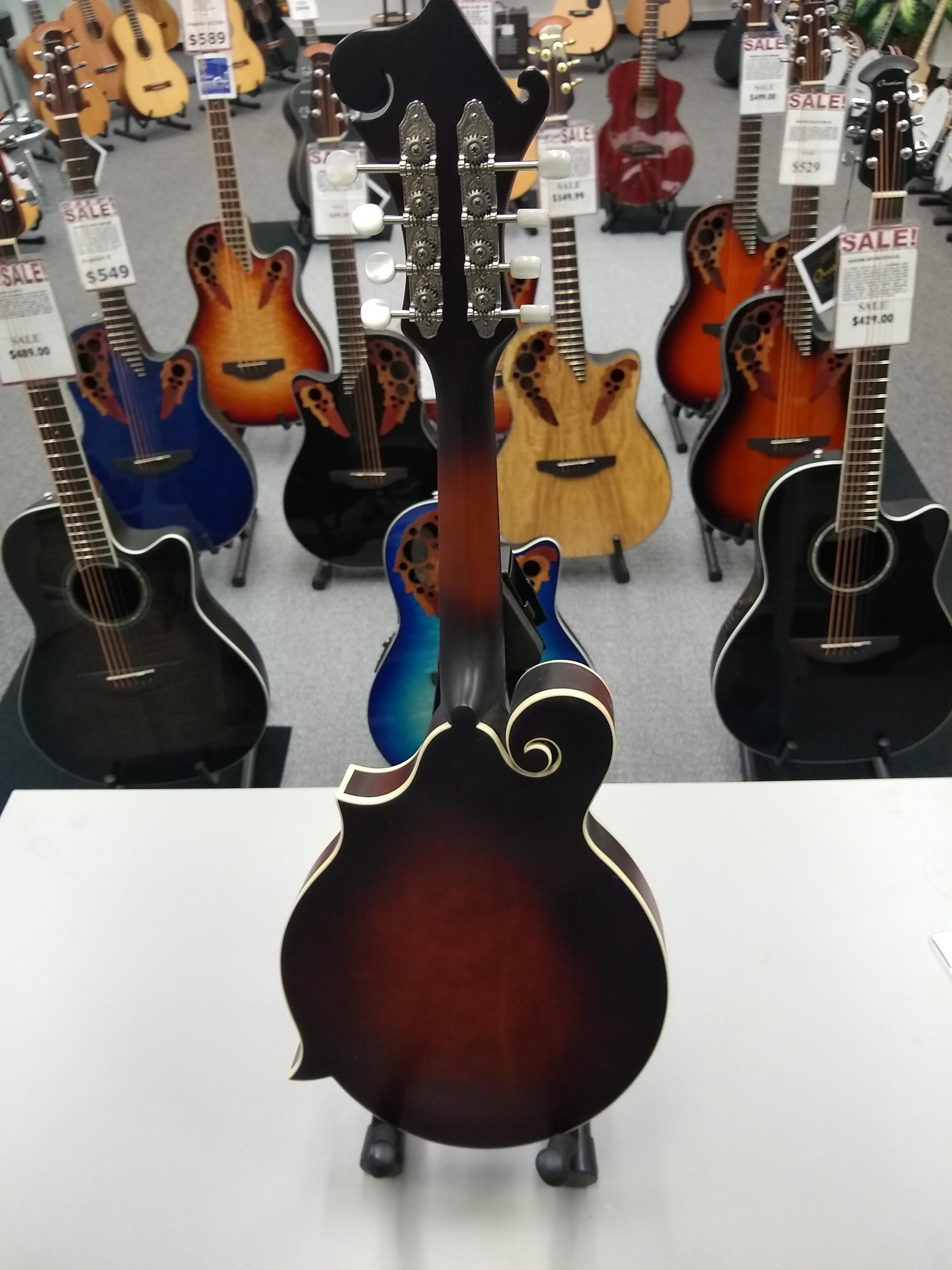 The Loar F Style Mandolin - Jim Laabs Music Store