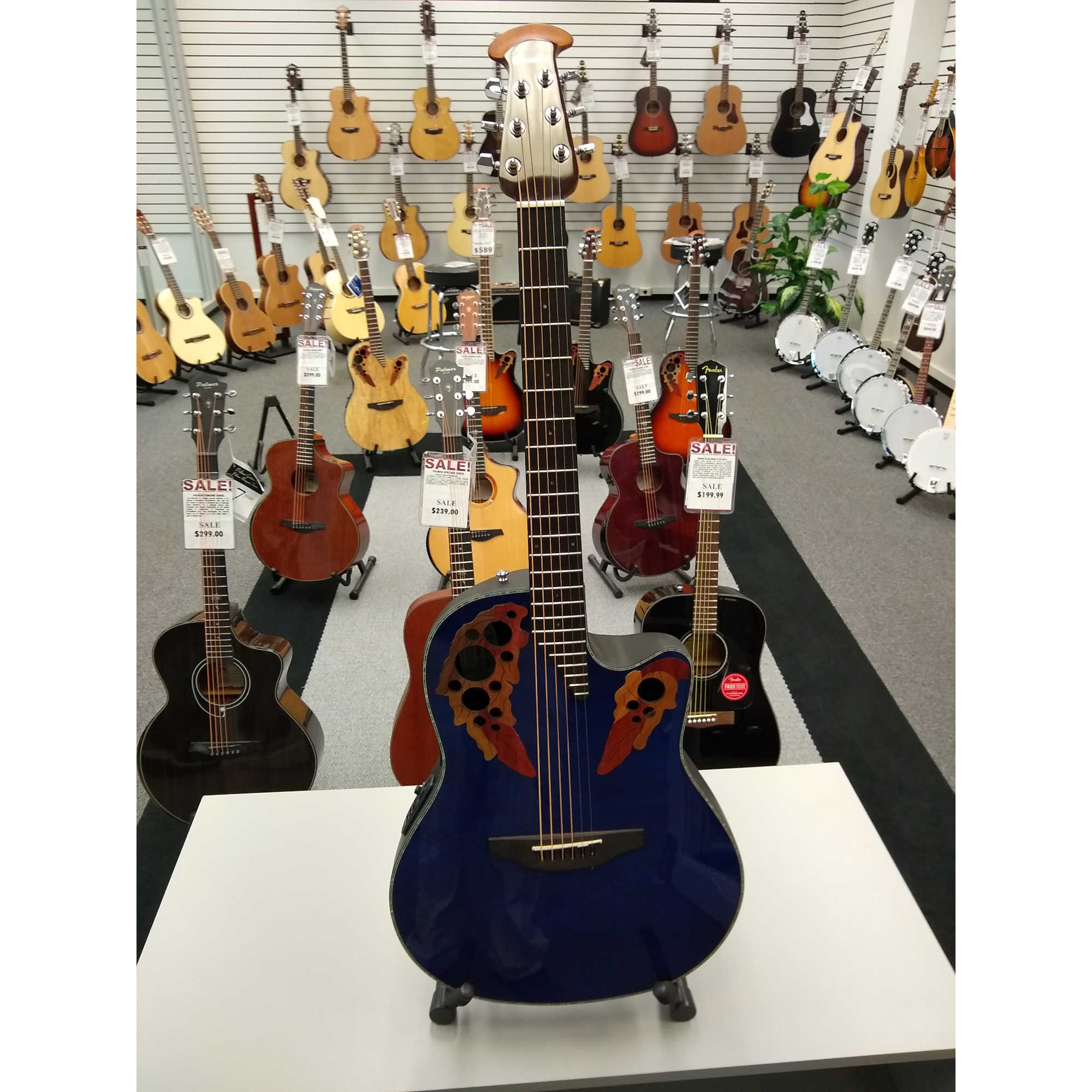 Ovation Celebrity Elite CE44-1 Trans Blue - Jim Laabs Music Store