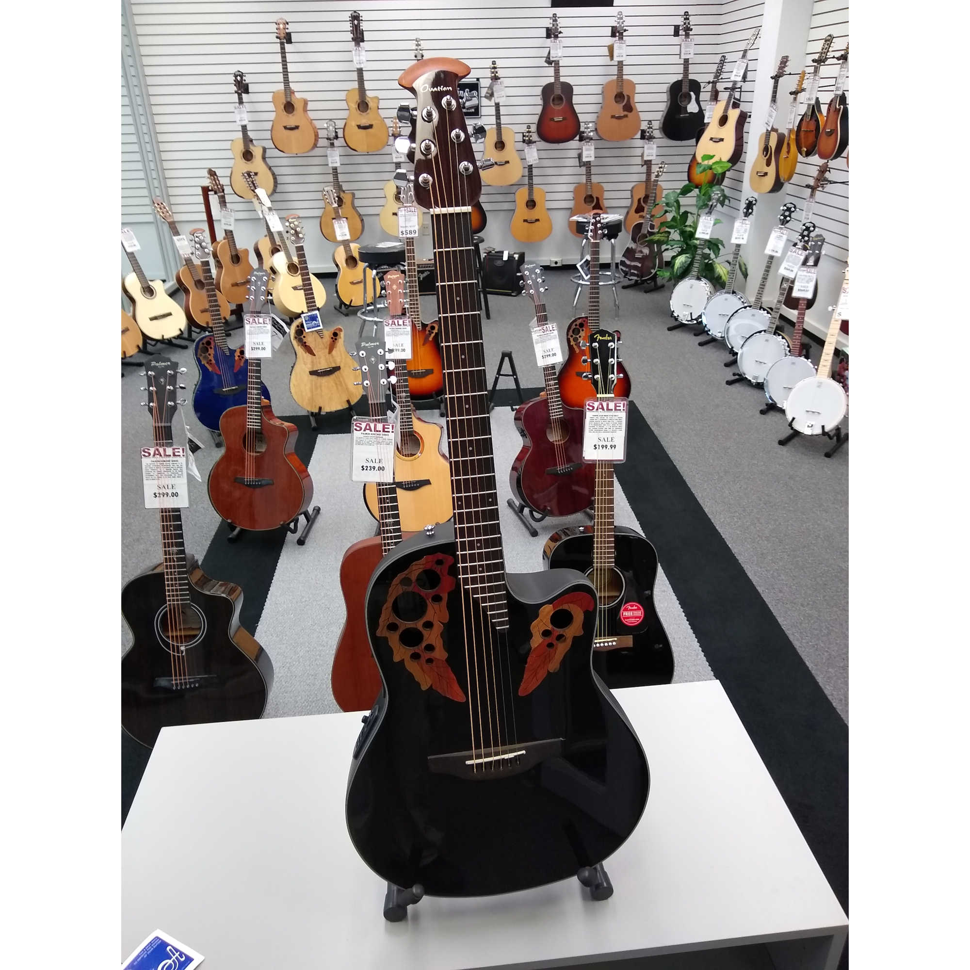 Ovation Celebrity Elite CE44-1 Black Polish - Jim Laabs Music Store