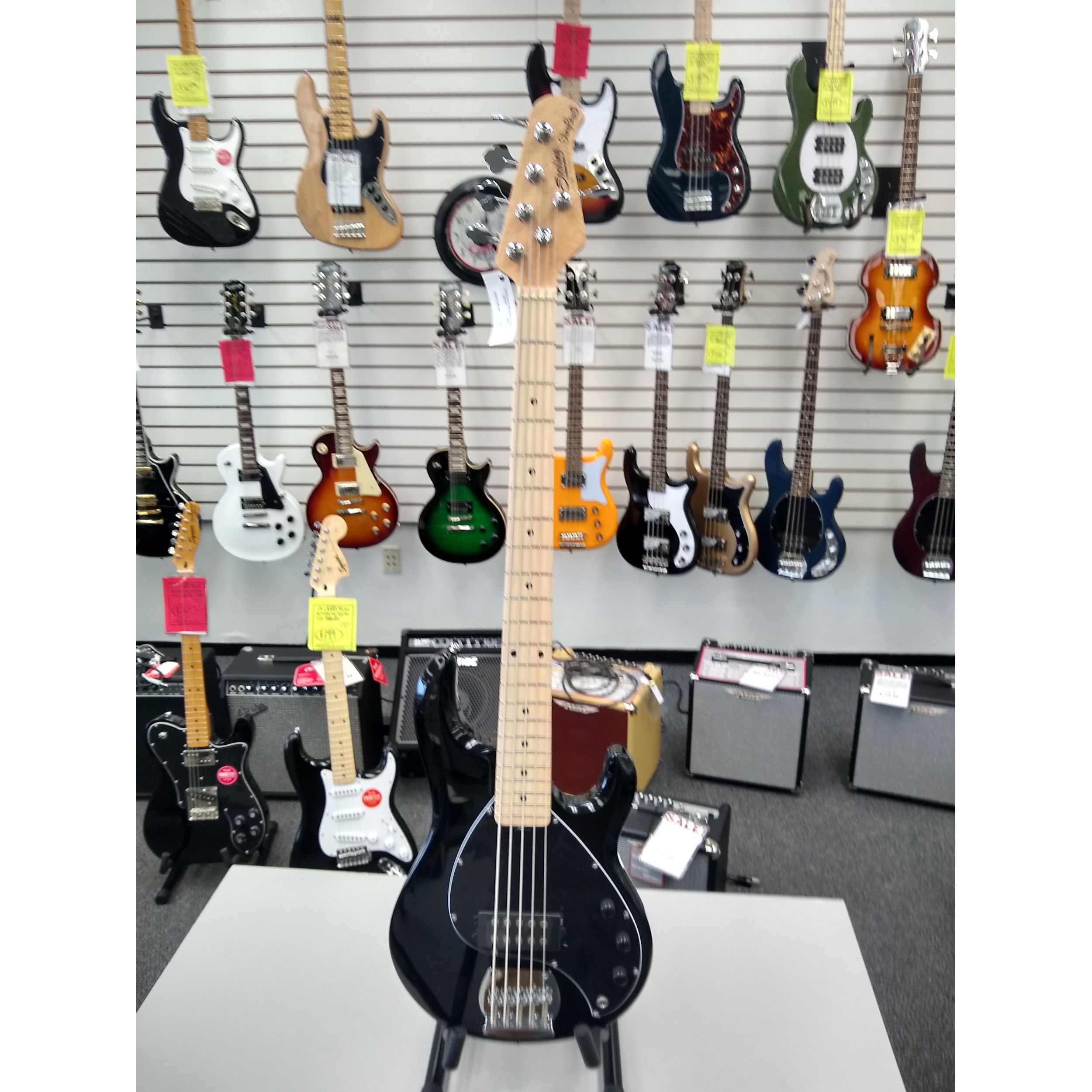 Sterling Music Man Ray5 Bass 5 String - Jim Laabs Music Store