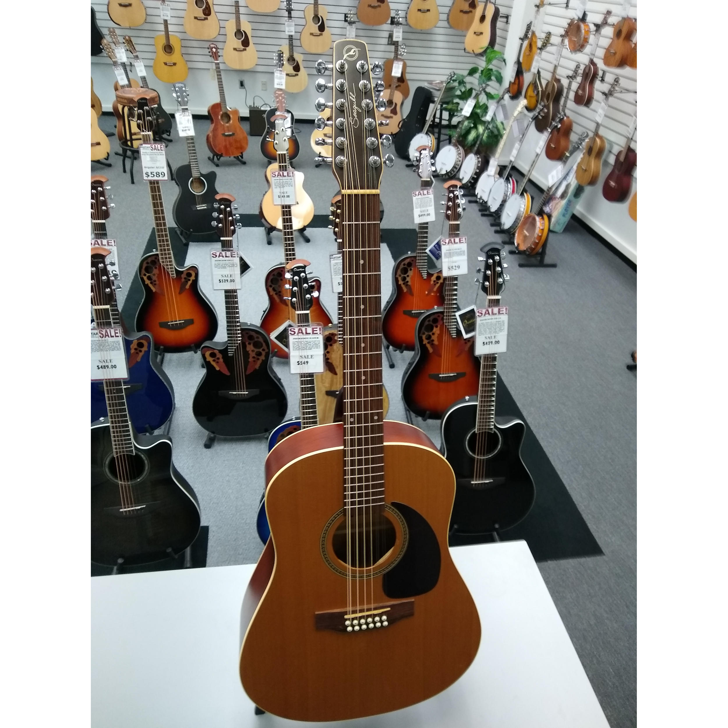 Seagull 12 String Guitar S12 - Jim Laabs Music Store