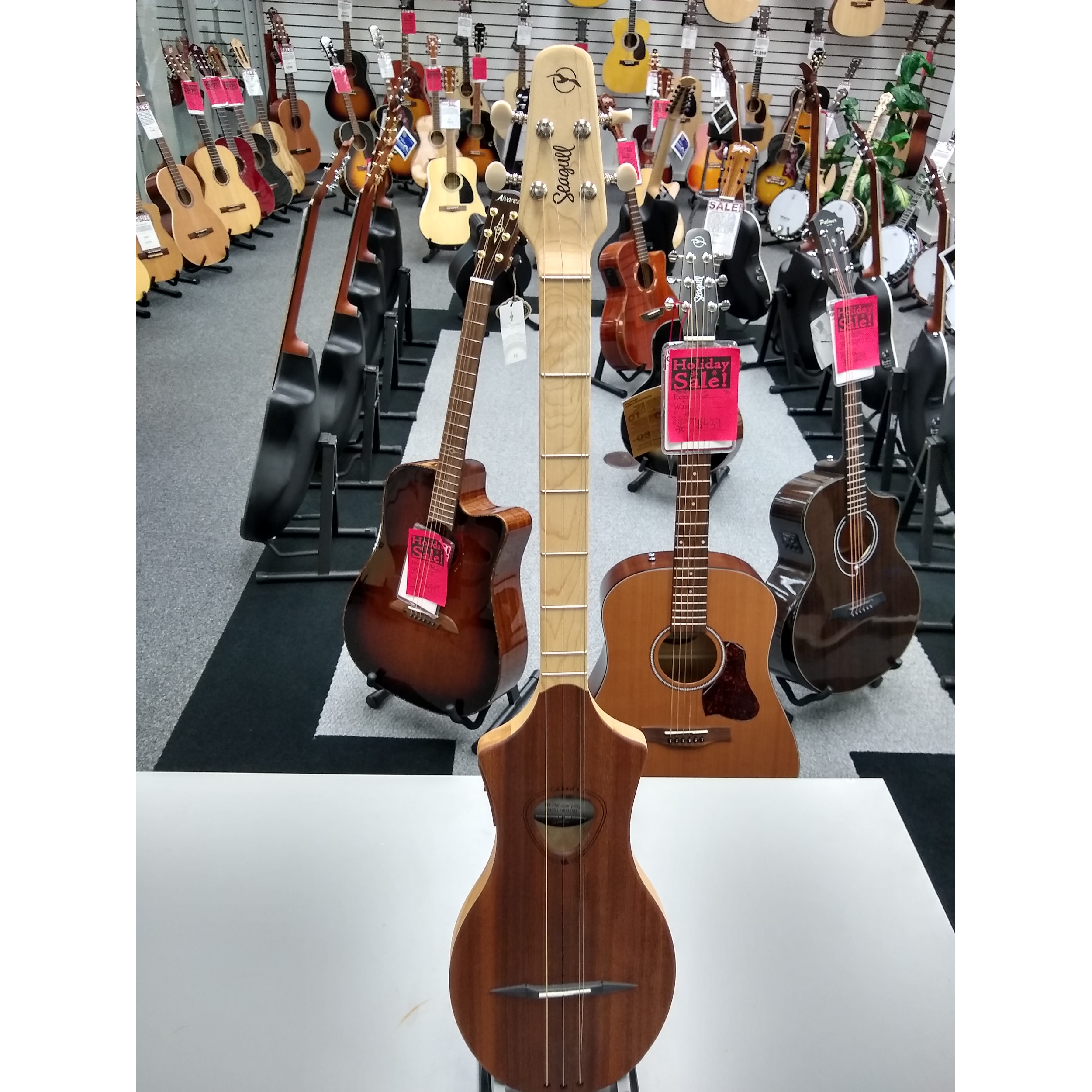 Seagull Merlin M4 Dulcimer W/Pickup - Jim Laabs Music Store