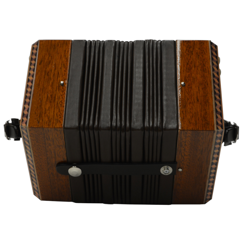 Stagi C-3 Concertina - Jim Laabs Music Store