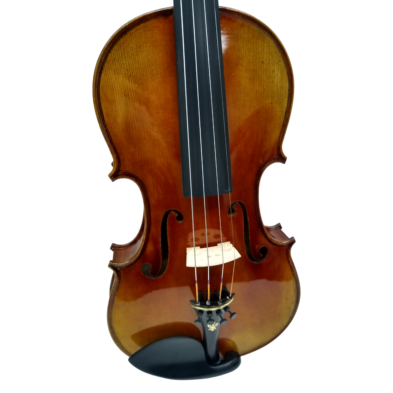 Vienna Strings Violin 4/4 European Tradition Berlin - Jim Laabs Music Store