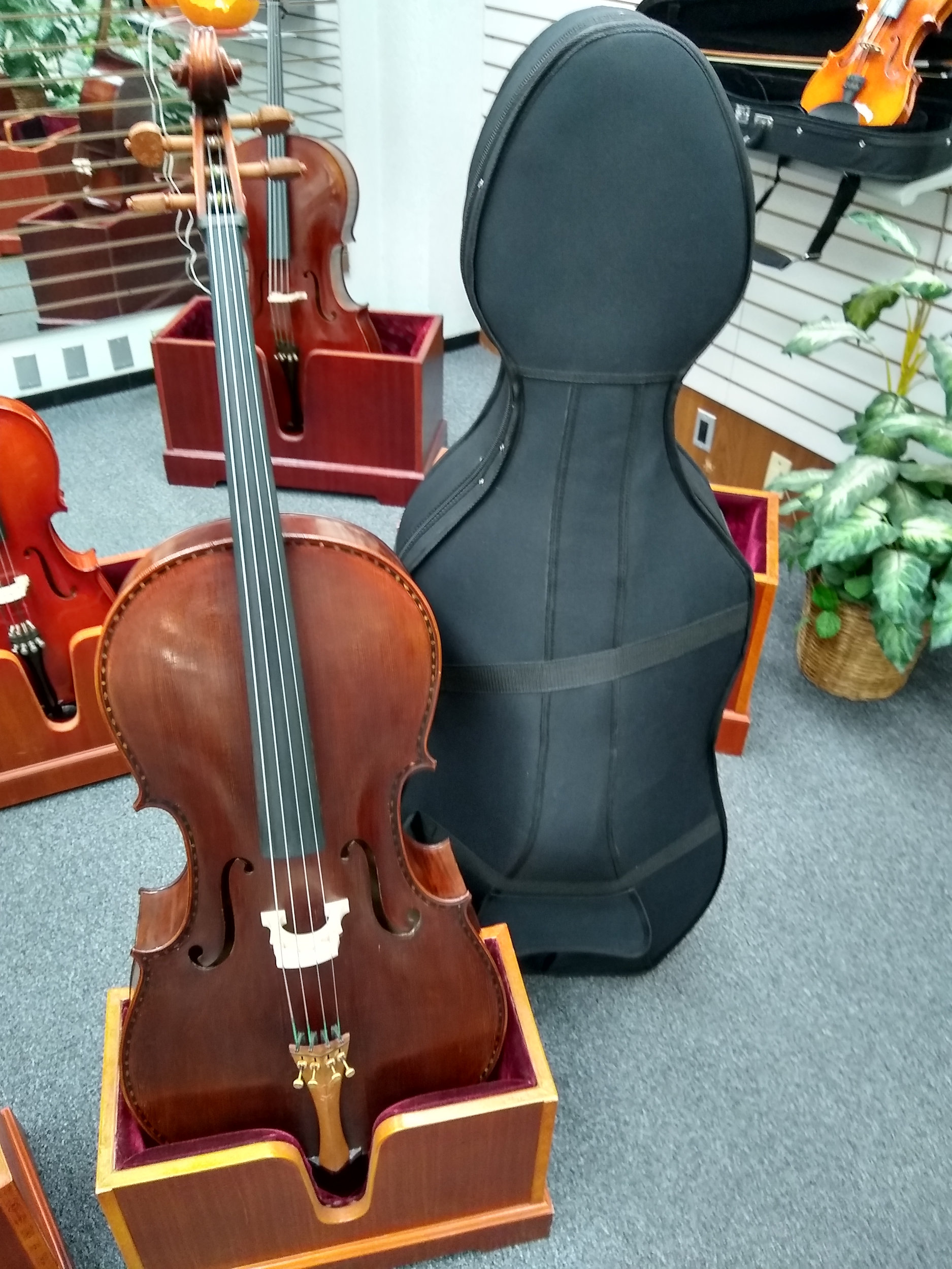 Vienna Strings Hamburg Handcraft Cello - Jim Laabs Music Store