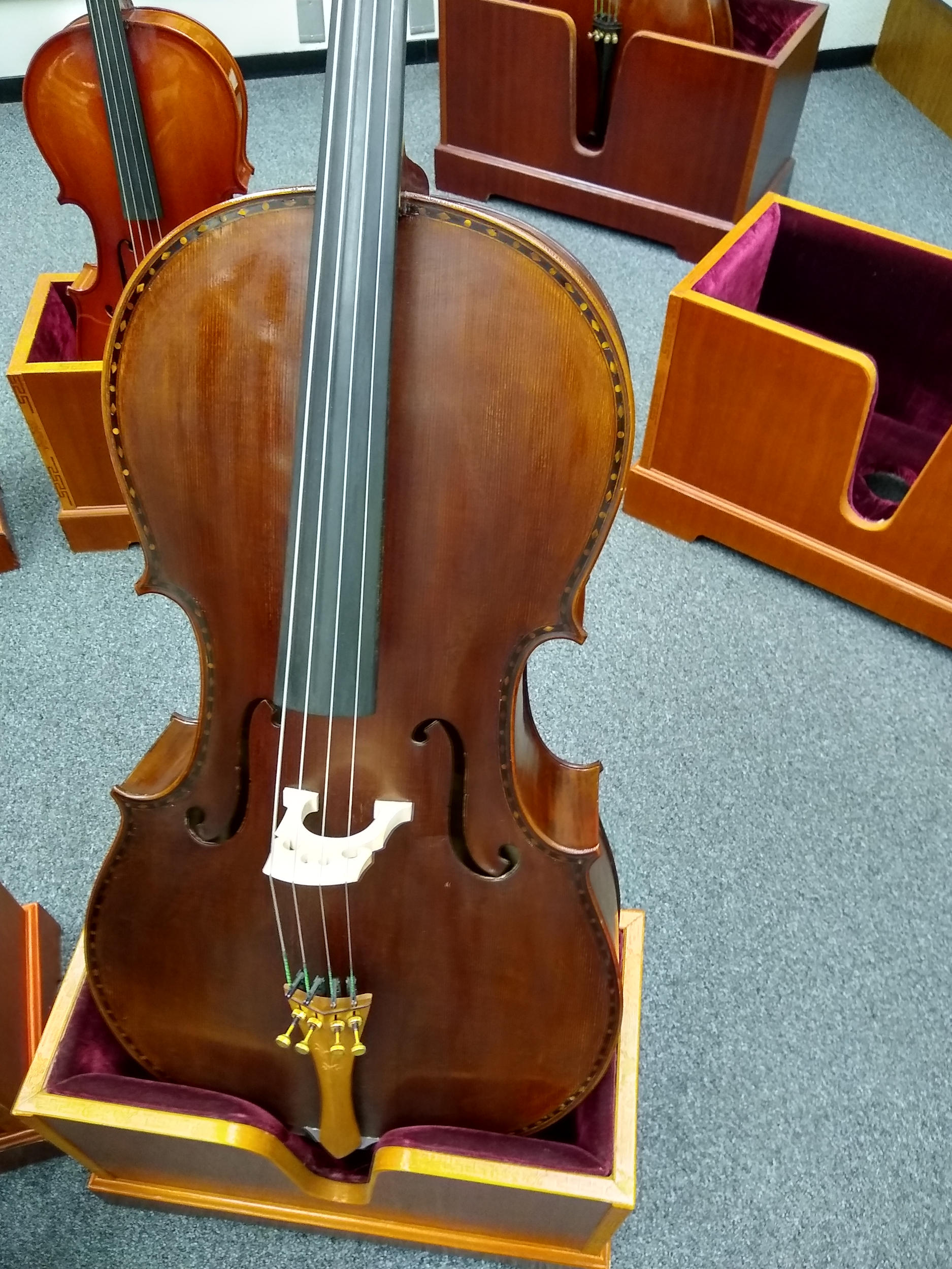 Vienna Strings Hamburg Handcraft Cello - Jim Laabs Music Store