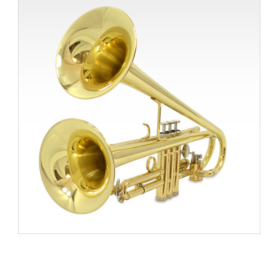 Schiller American Heritage BandLeader Double Bell Trumpet - Jim Laabs ...
