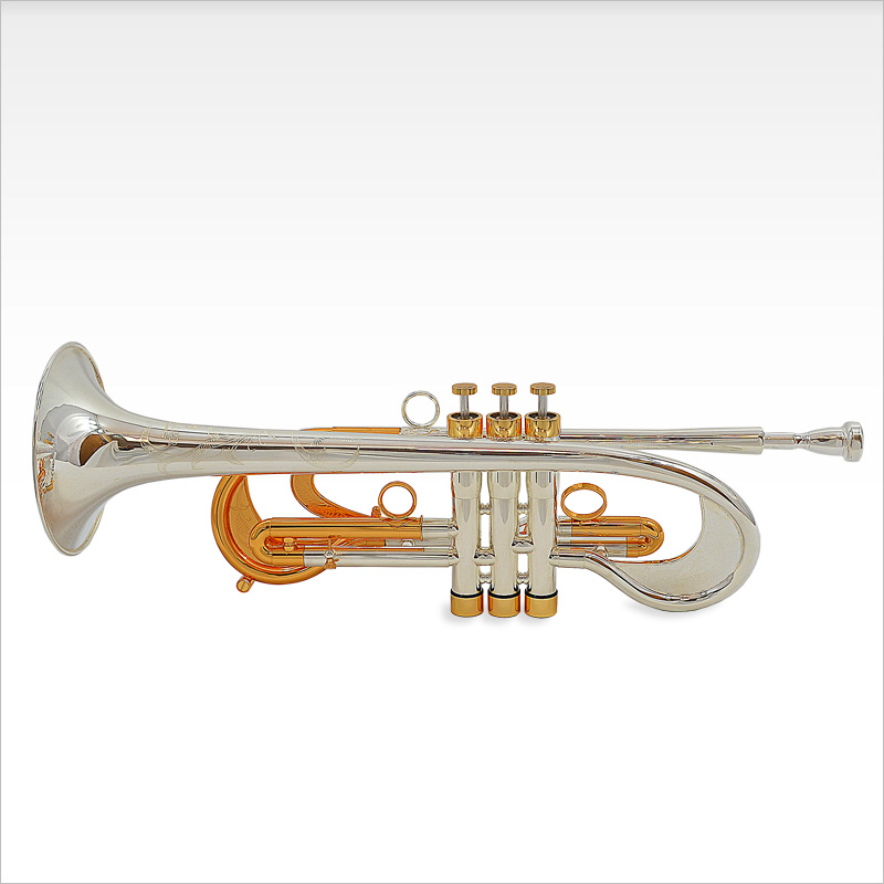 Schiller Old City Taj Bb Trumpet - Silver & Gold - Jim Laabs Music Store