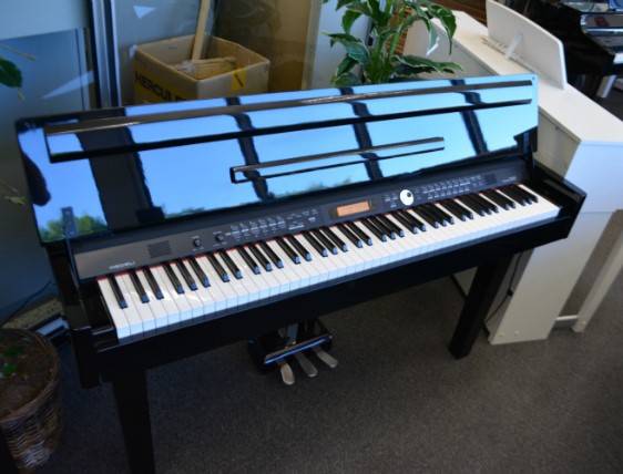 Medeli Grand 300 Digital Piano - Jim Laabs Music Store