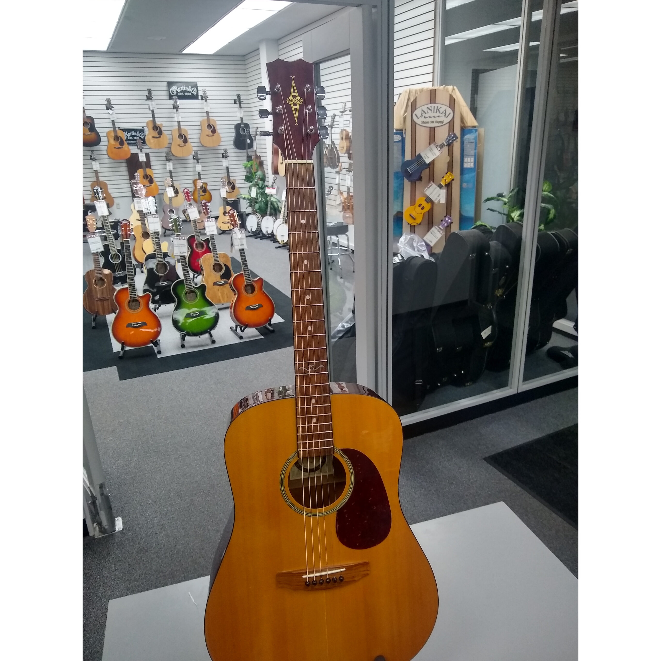 Alvarez Acoustic Guitar - Jim Laabs Music Store