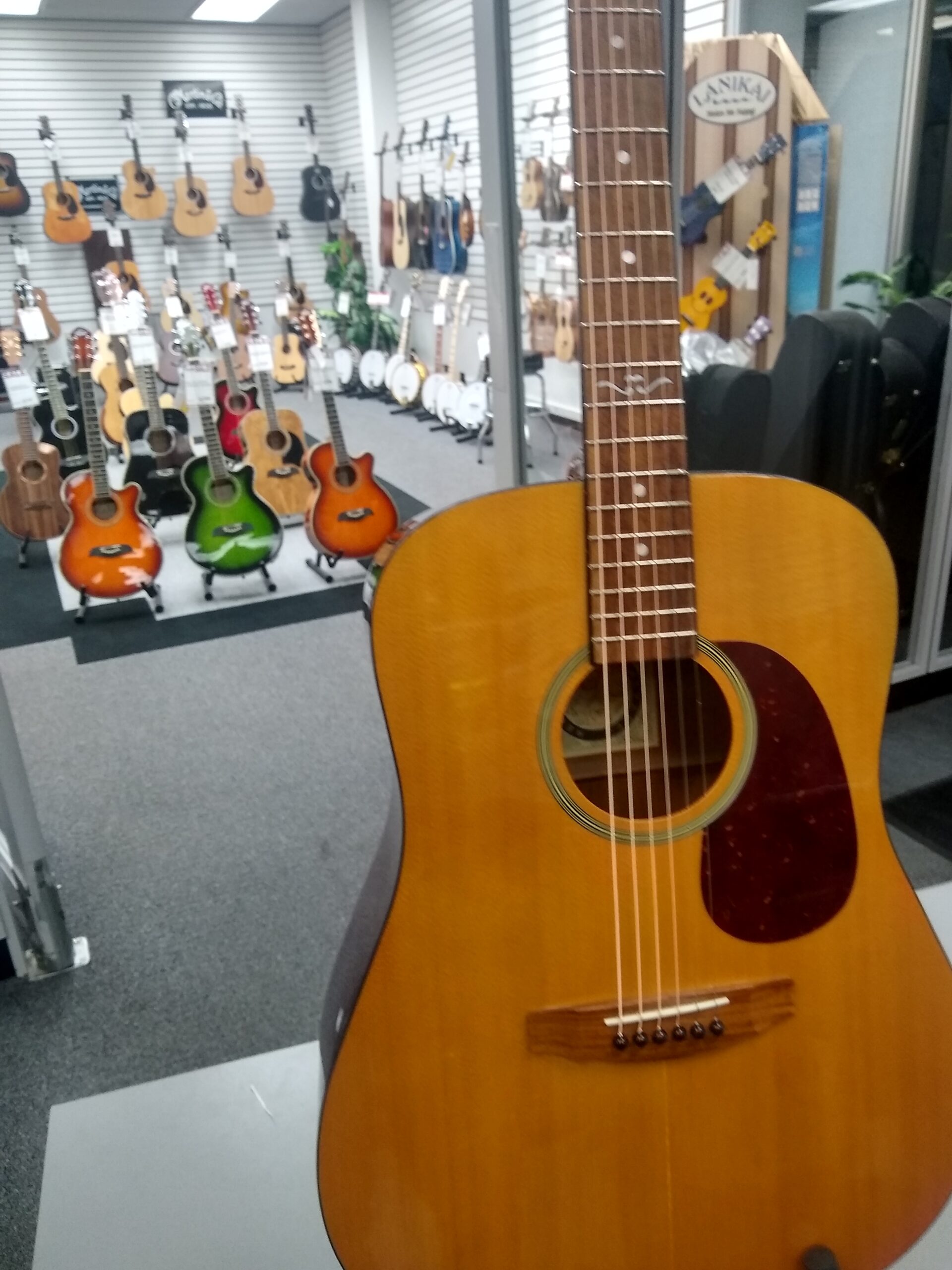 Alvarez Acoustic Guitar - Jim Laabs Music Store