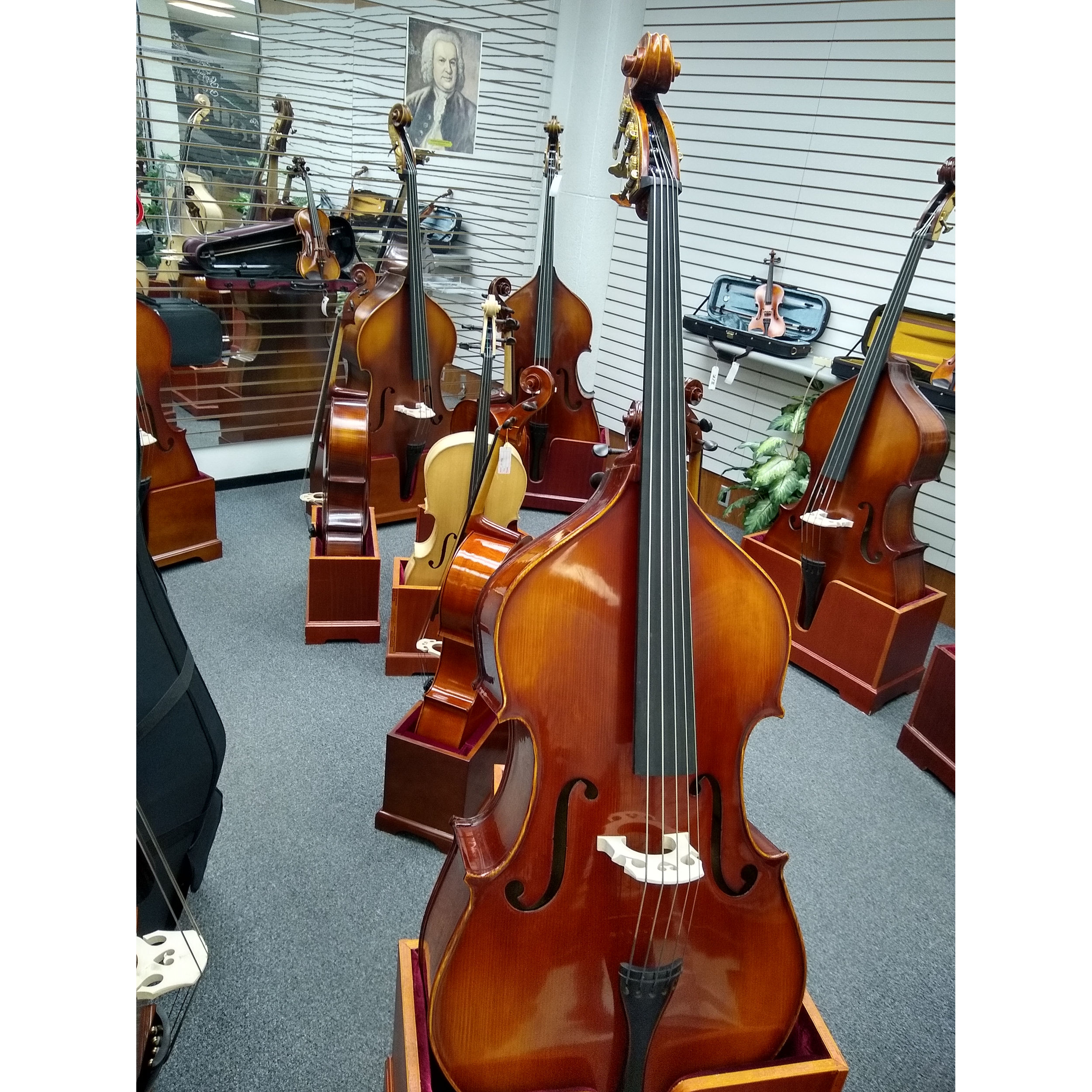 Vienna Strings Hamburg 3/4 5 String Upright Bass - Jim Laabs Music Store