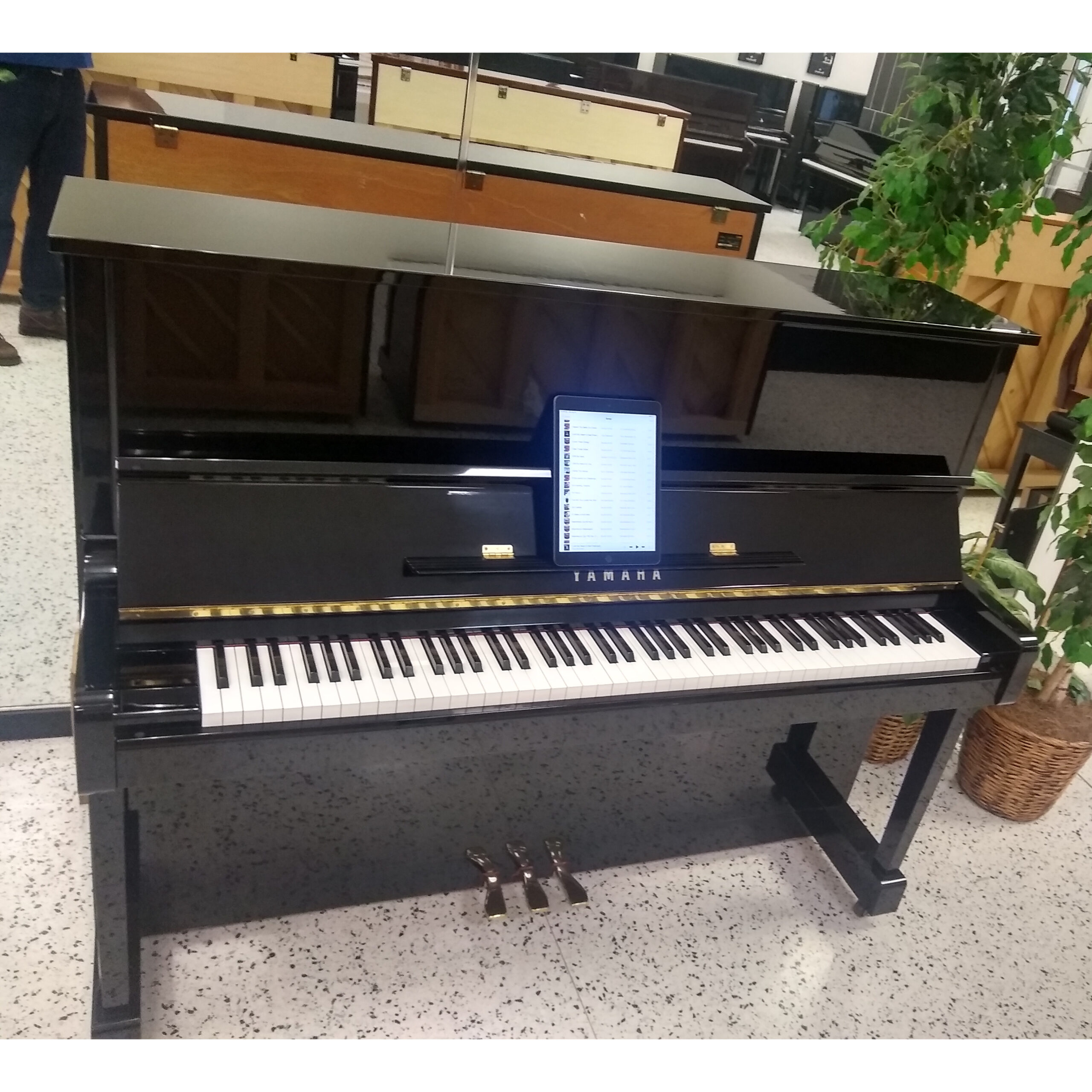 Yamaha 48" Professional Upright W/iPad Player System (Used) - Jim Laabs ...