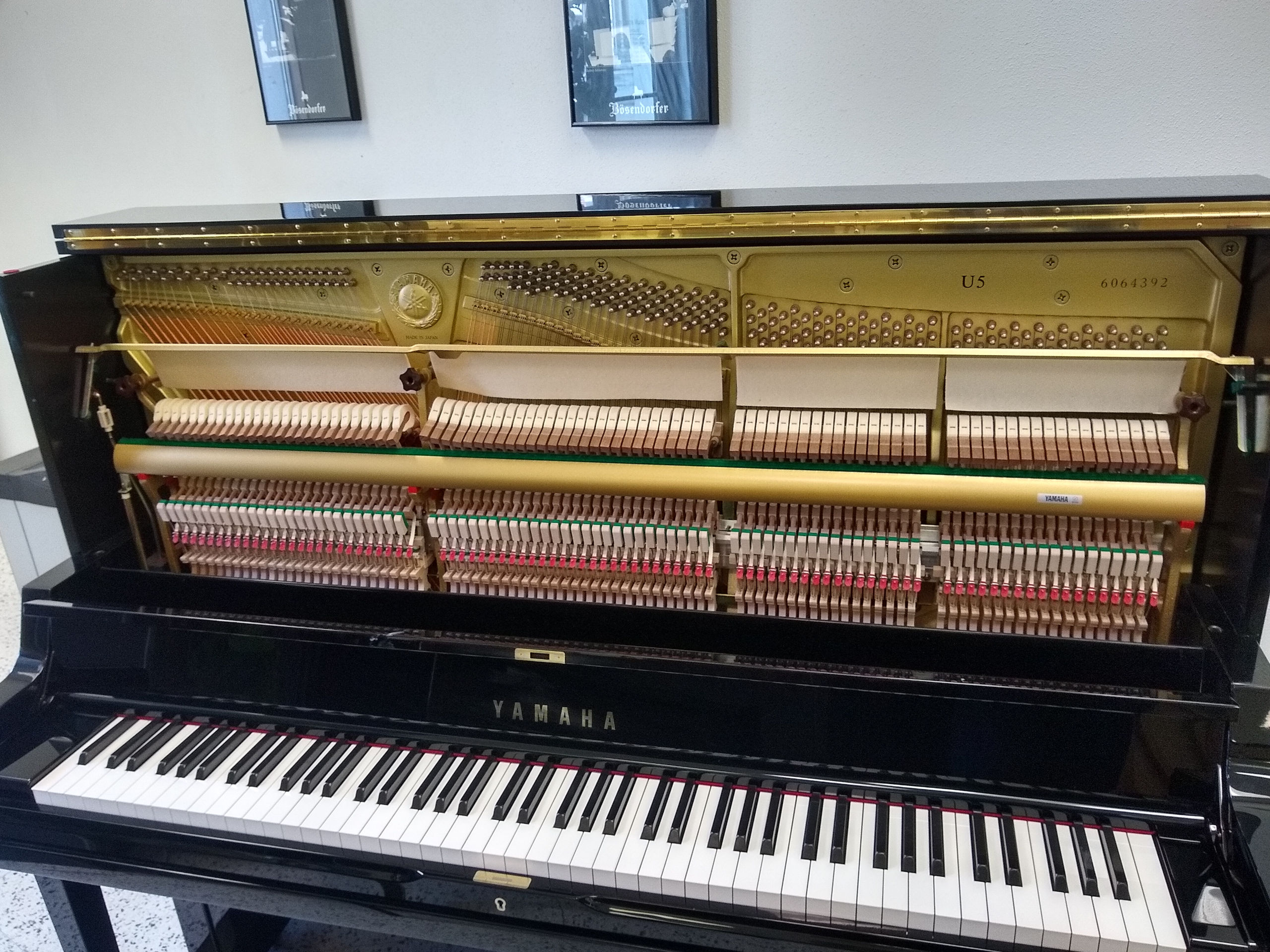 Yamaha U5 Professional Upright Piano (Used) - Jim Laabs Music Store
