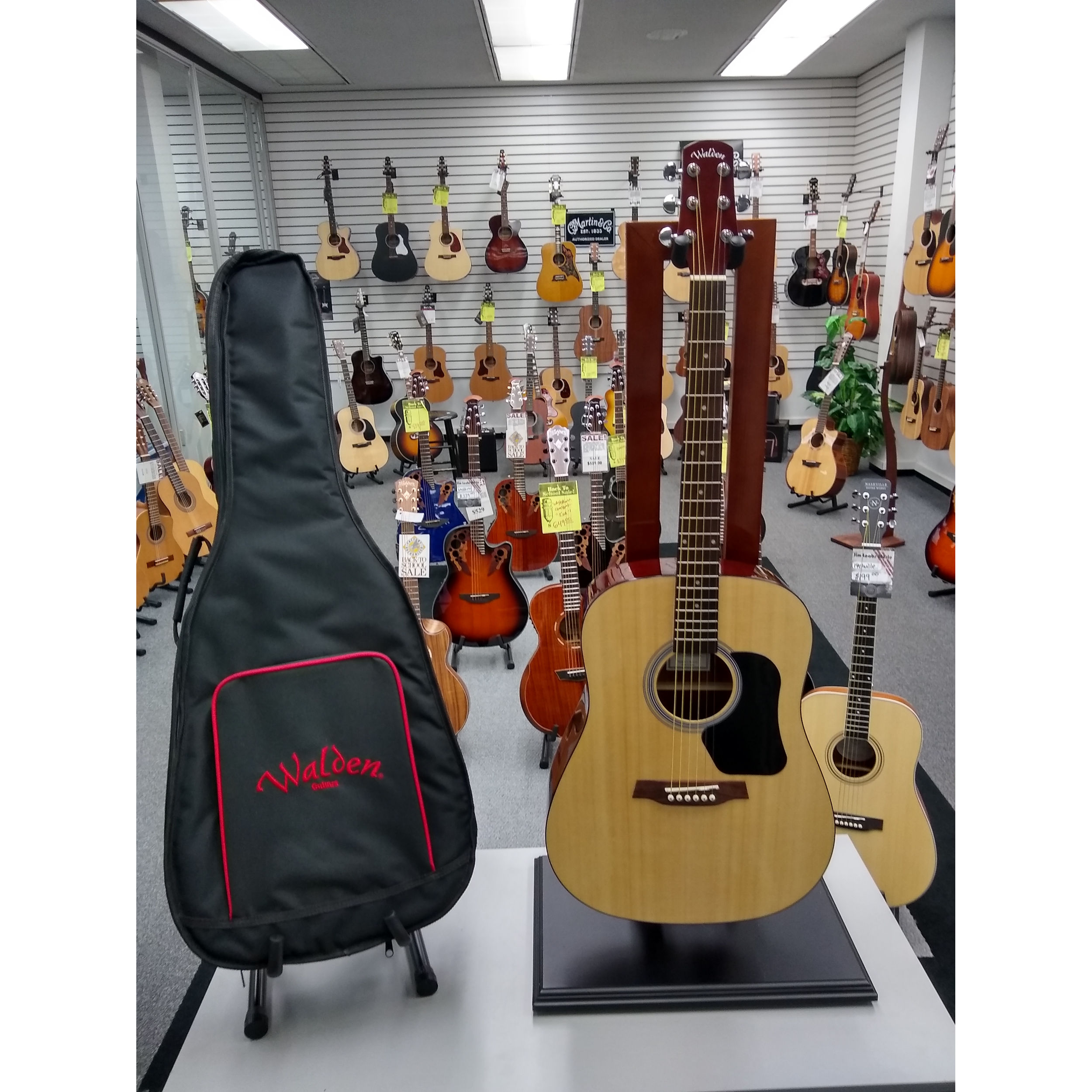 Walden D350 Acoustic Guitar W/Bag - Jim Laabs Music Store
