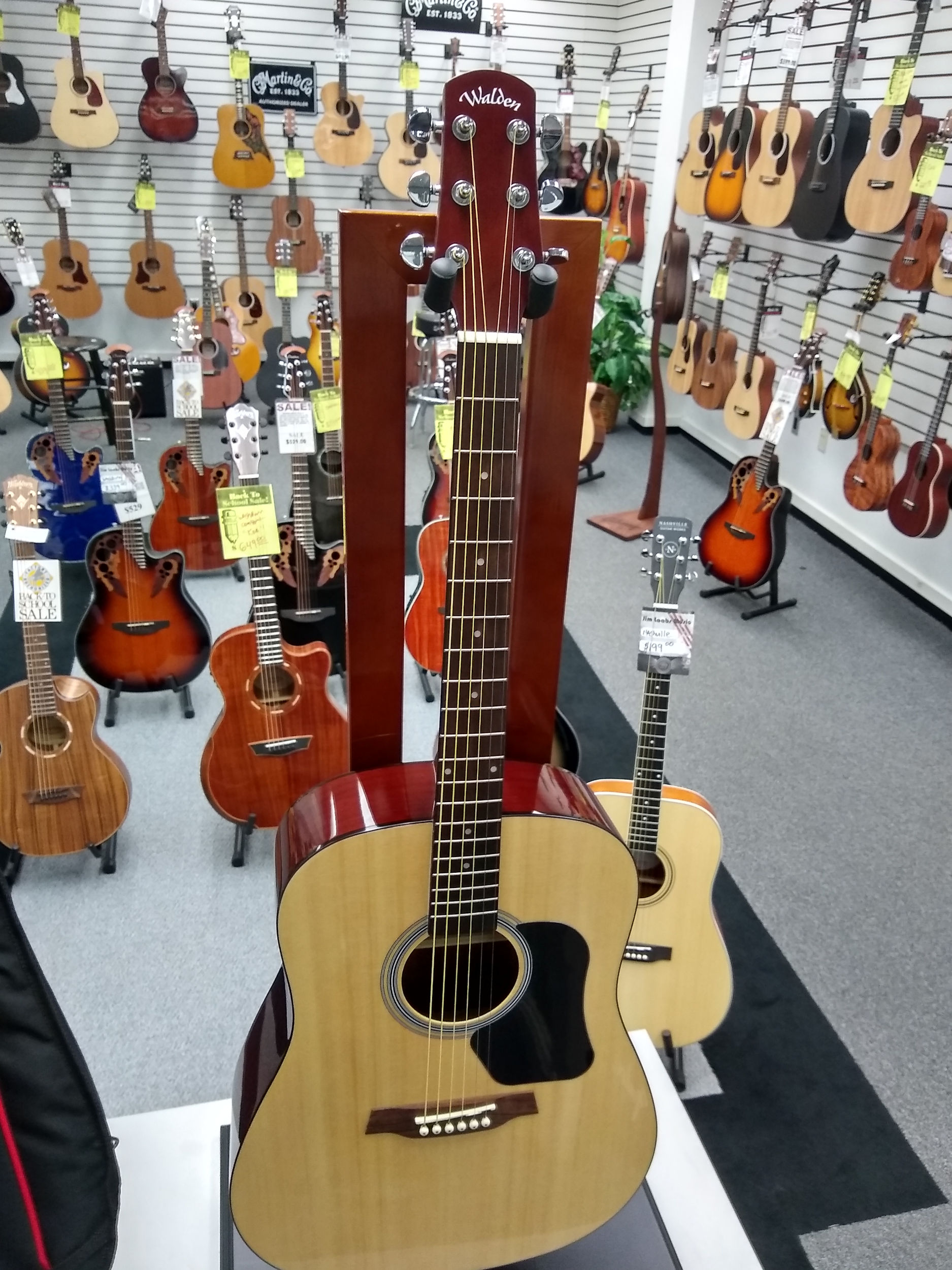 Walden D350 Acoustic Guitar W/Bag - Jim Laabs Music Store