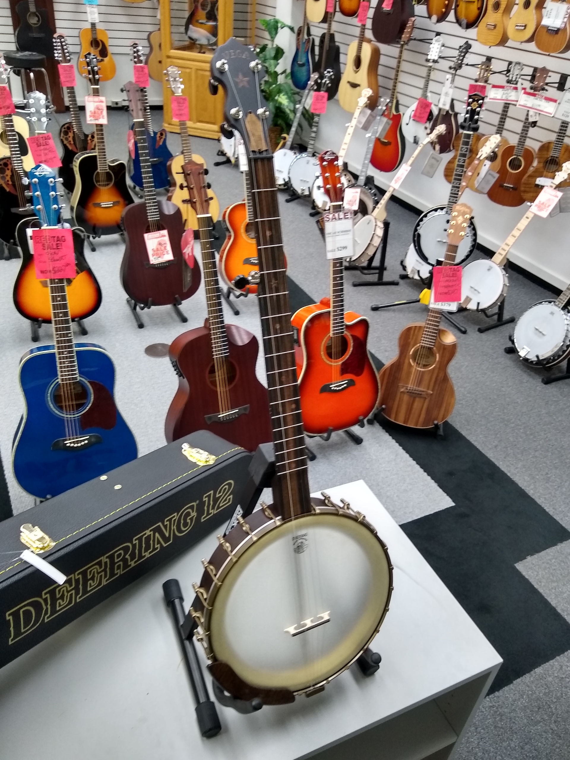 Deering Vega Star Banjo - Jim Laabs Music Store