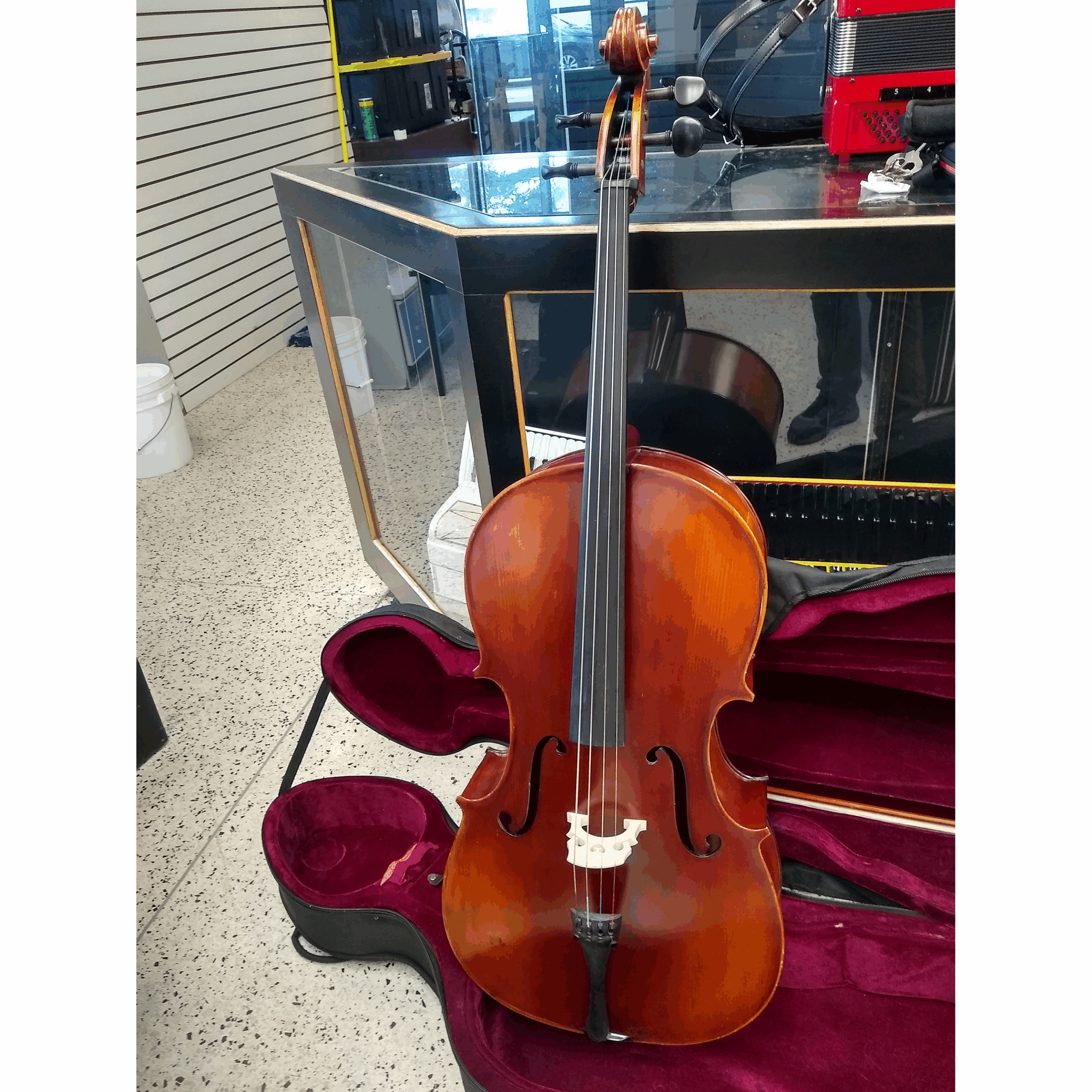 Vienna Strings Munich 4/4 Cello - Jim Laabs Music Store