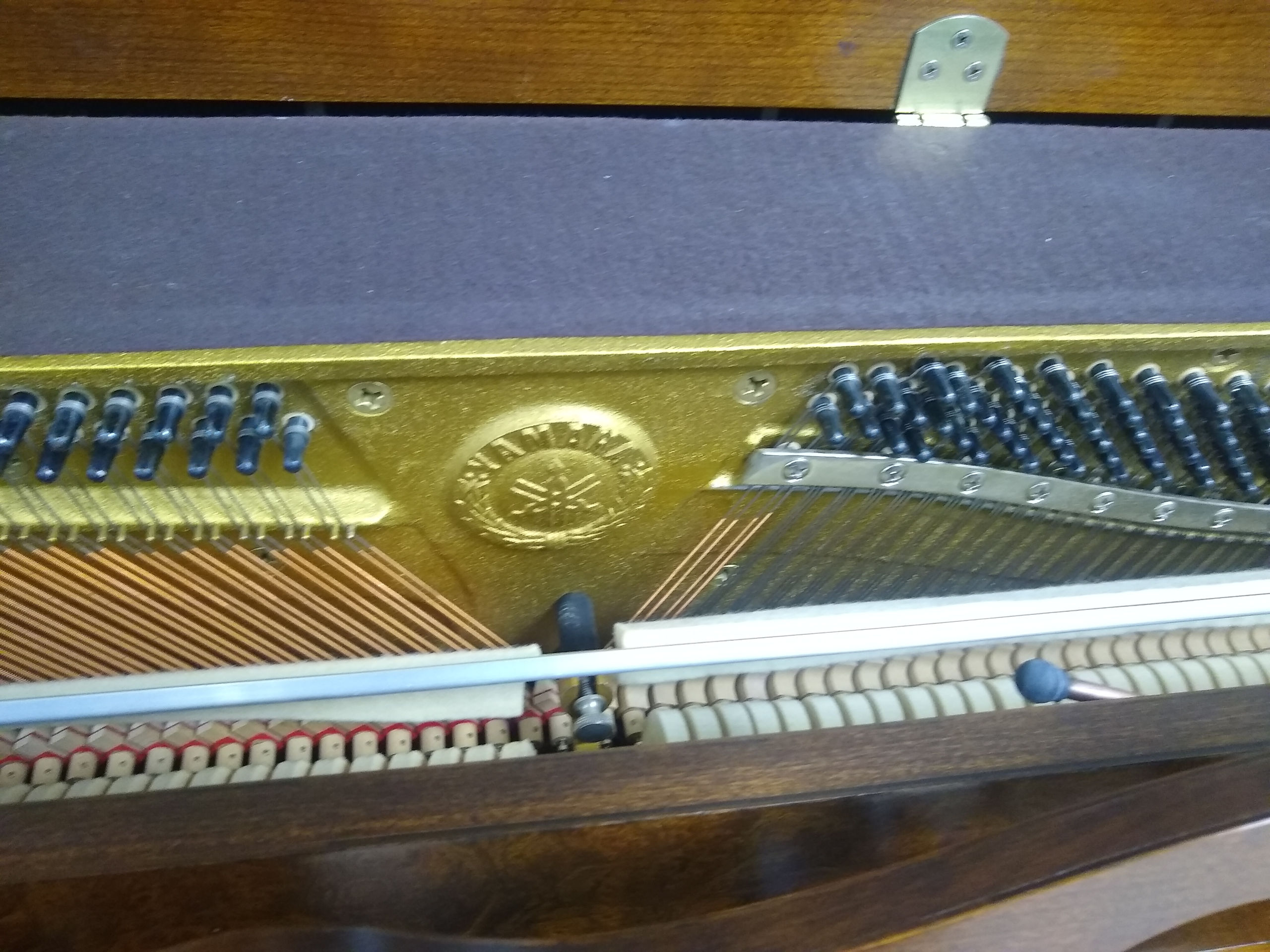 Yamaha Professional Upright Burled Cherry - Jim Laabs Music Store